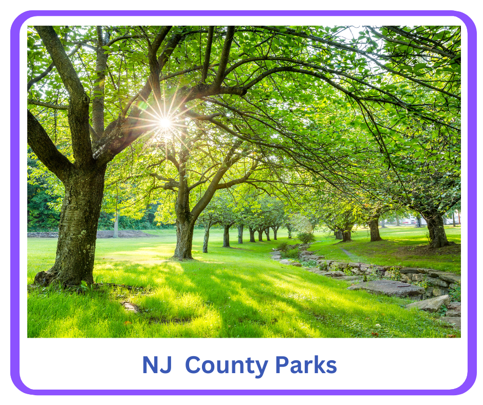 The Best New Jersey State Parks