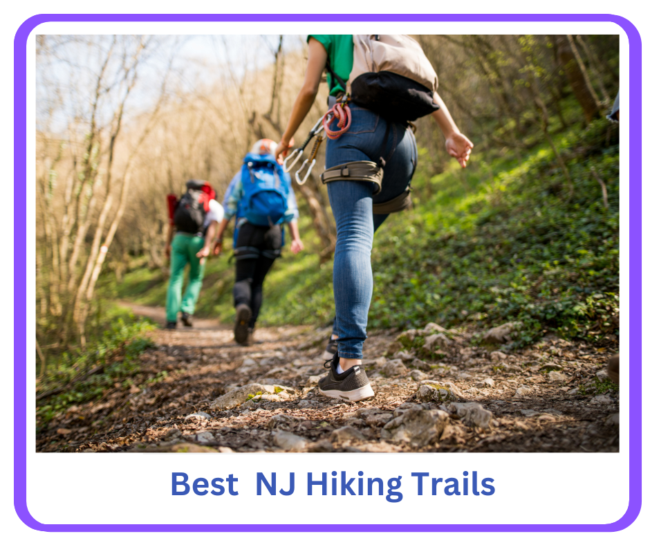 What Makes NJ's Old Mine Road a Scenic Drive Destination?