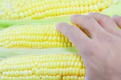 Famous New Jersey Food. Products both locally grown and made in NJ