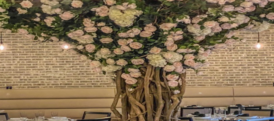 Jasper Stone Italian Steakhouse, Monroe, NJ: A Restaurant Review