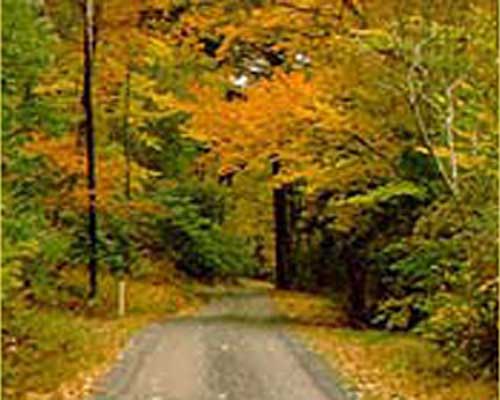 Old Mine Road: A New Jersey Historic and Scenic Treasure